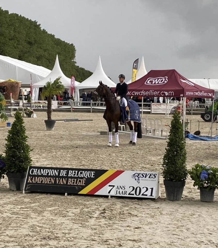 Bon Bravour nakomeling Boateng (m.v. Diamond Hit) Belgisch Kampioen bij ...